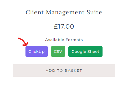 Client Management Template Shop | Rachael Gunn